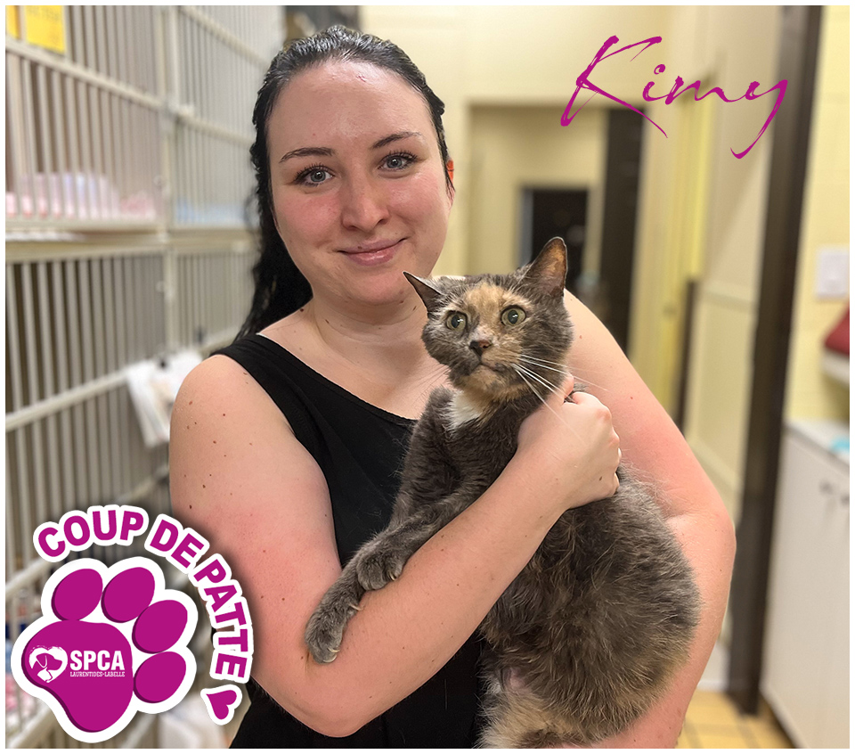 SPCA Laurentides-Labelle | Accueil